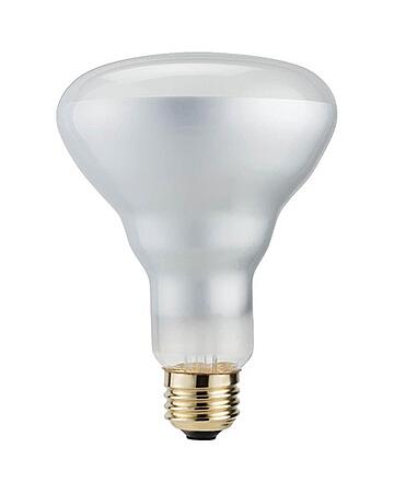 The best LED replacements for common incandescent light bulbs