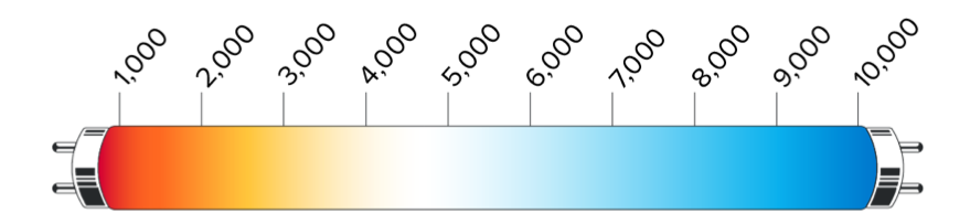 What is CCT? A guide to choosing correlated color temperature for your ...