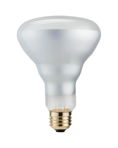 Common light bulbs and LED upgrades for retail stores
